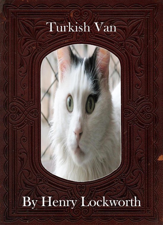 Turkish Van (ebook), John Hawk | 1230001119404 | Boeken | bol.com
