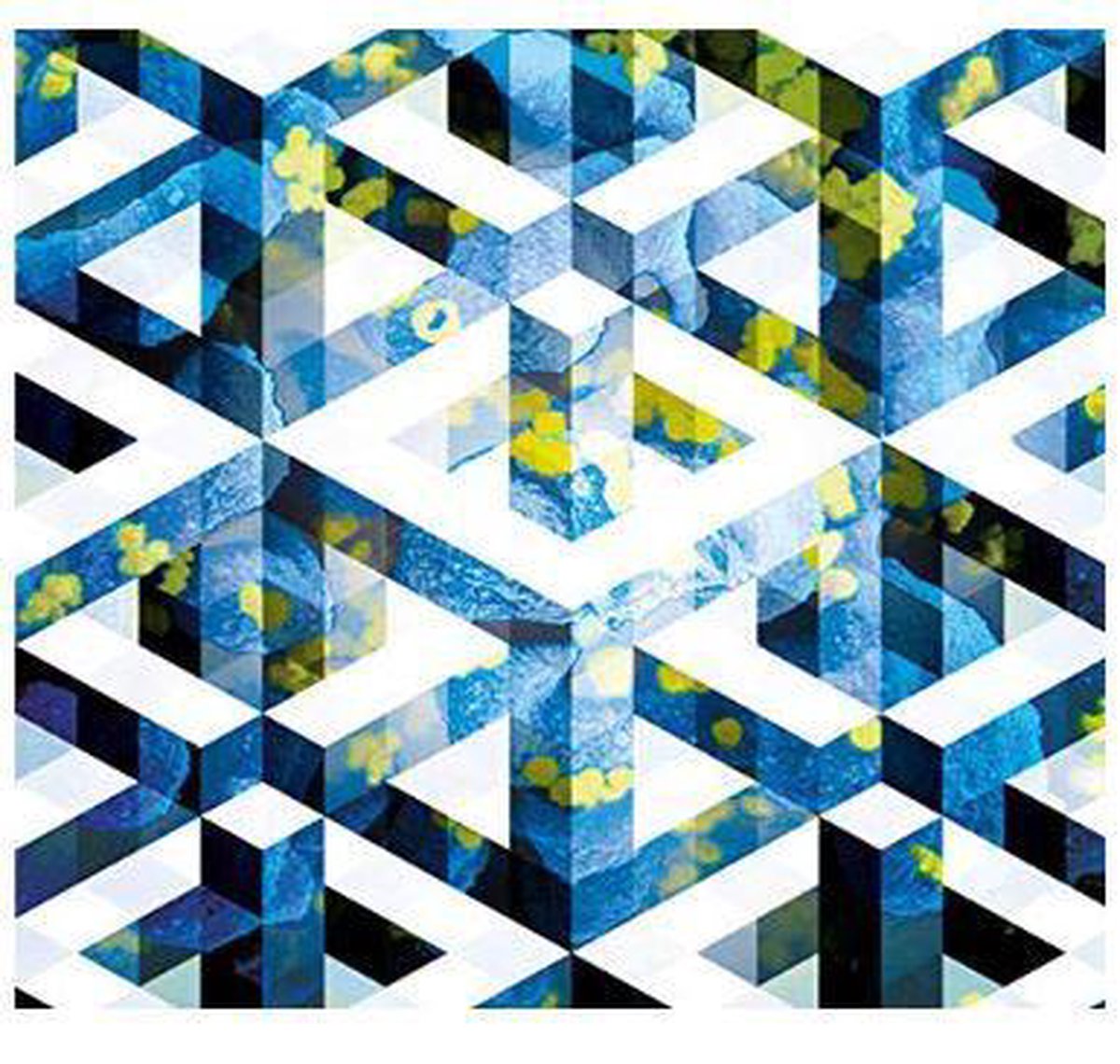 Liquid Geometries, Bluetech | CD (album) | Muziek | bol.com