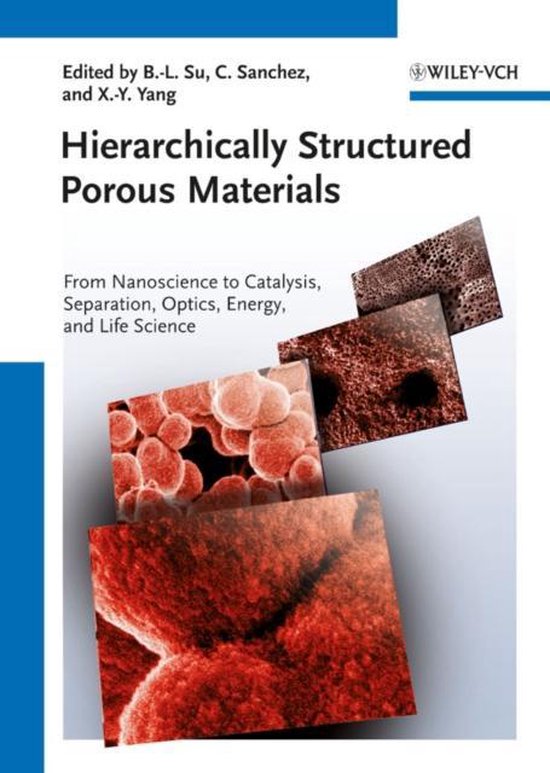 Hierarchically Structured Porous Materials | 9783527327881 | B Su | Boeken | bol.com