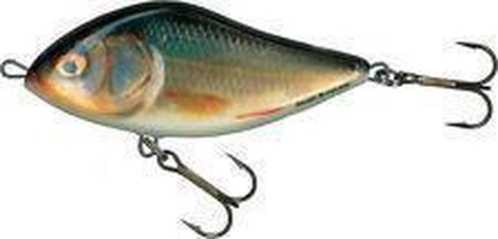 Salmo Slider 12Cm Floating (Sd12S Rr) | bol.com