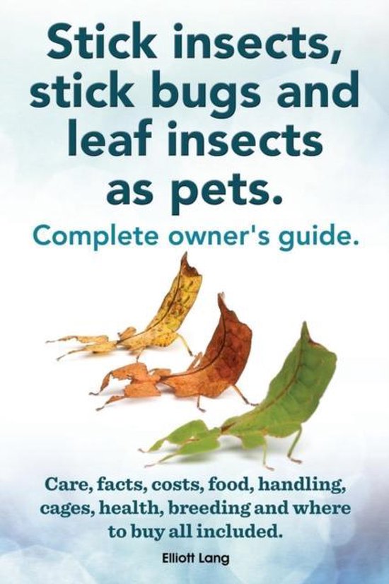 Stick Insects, Stick Bugs and Leaf Insects as Pets. Stick Insects Care ...