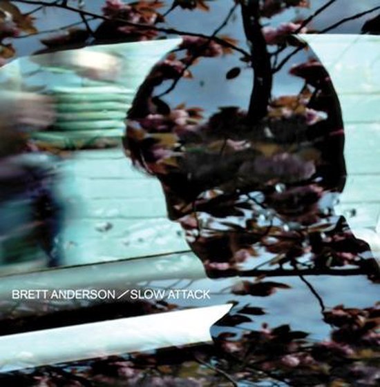 Slow Attack, Brett Anderson | Muziek | bol