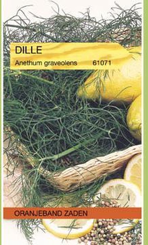 Dille Zaden, Kruidenzaad | bol