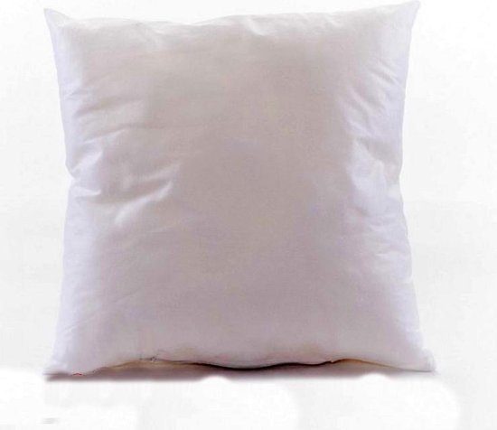 FT 125995 Binnenkussen 280g, 45*45cm, Ge | bol