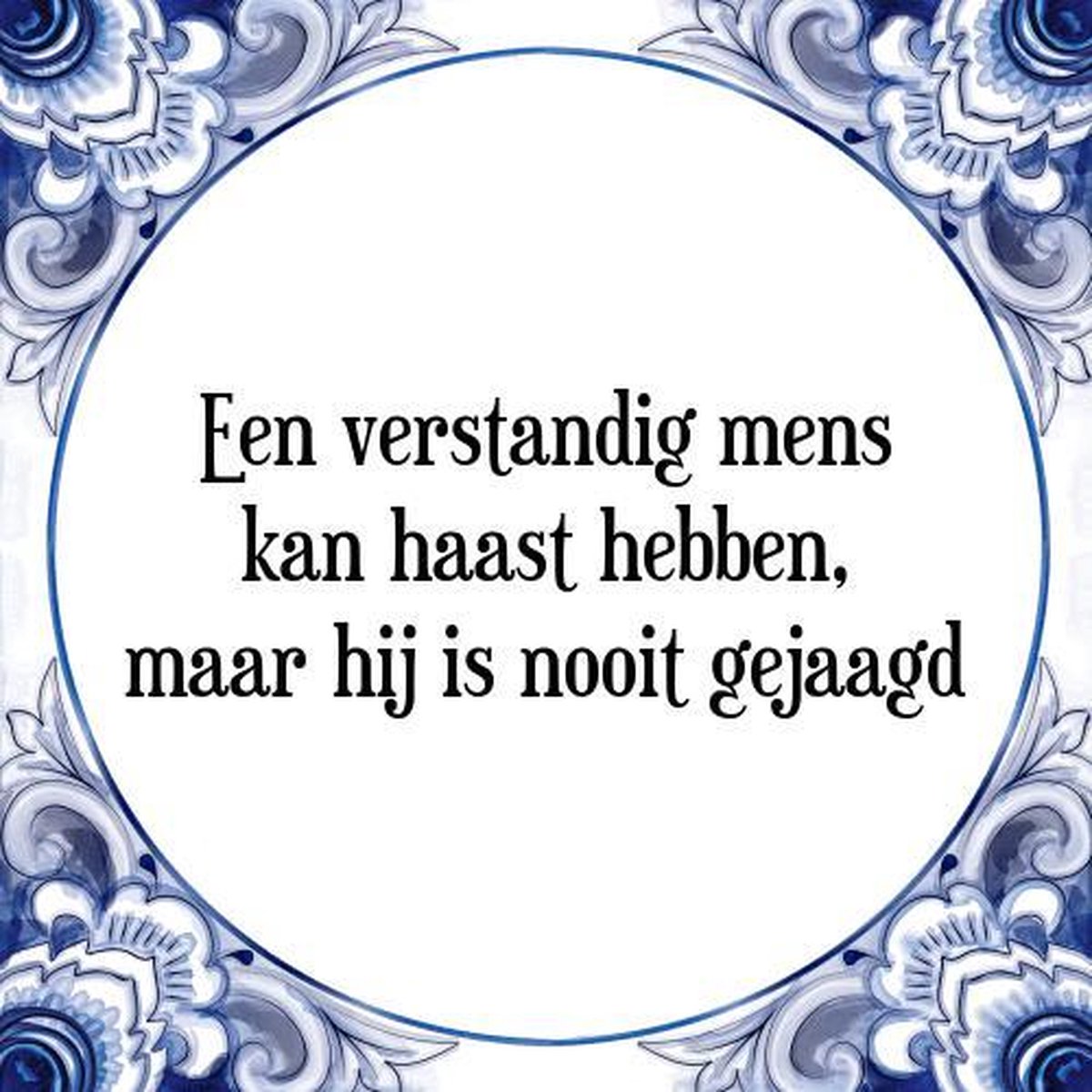 Tegeltje met Spreuk (Tegeltjeswijsheid): Een verstandig mens kan haast ...
