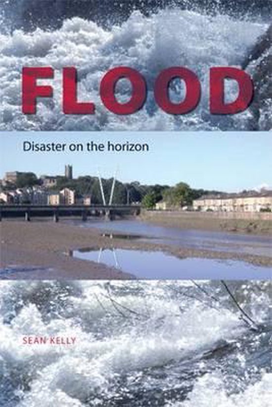 Flood, Sean Kelly | 9781904244578 | Boeken | bol.com