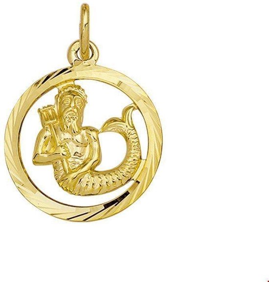 Geelgouden Bedel sterrenbeeld waterman gediamanteerd 4005688 | bol