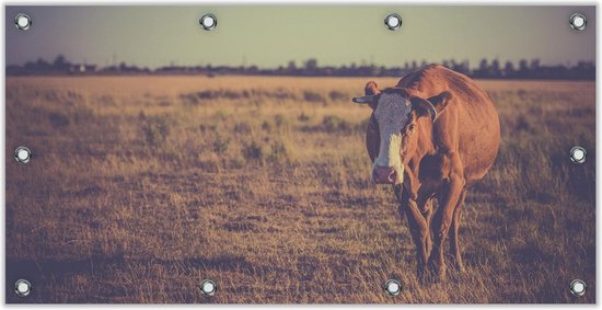 Affiche de jardin Vache dans un pâturage 200x100cm - Photo sur affiche ...