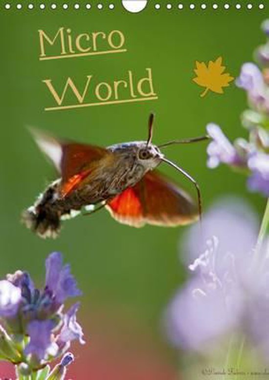 Micro World | bol.com