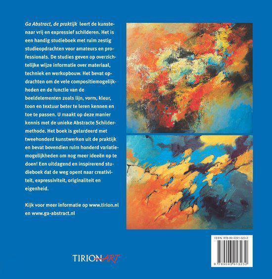 Ga Abstract, de praktijk, Rolina van Vliet | 9789043913232 | Boeken | bol
