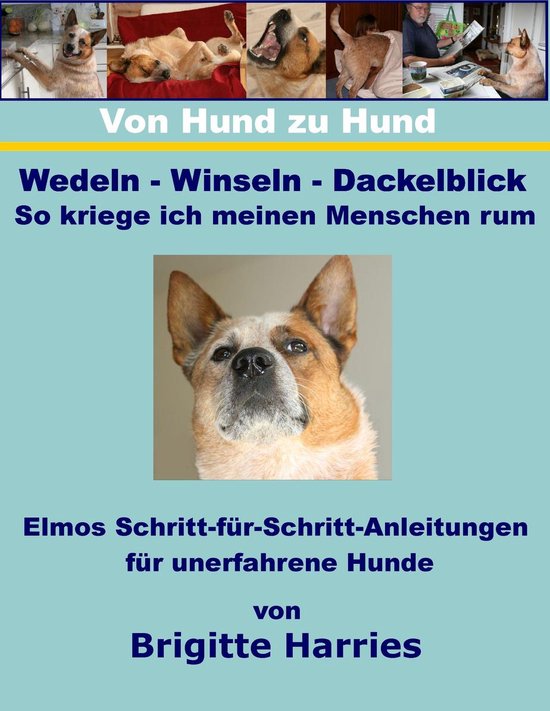 Von Hund zu Hund - Wedeln-Winseln-Dackelblick - So kriege ich meinen ...