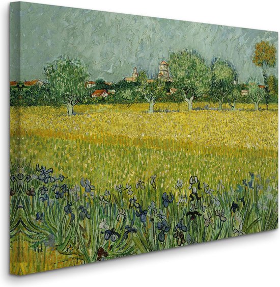 Vincent van Gogh - Field with Irises near Arles - Veld met irissen bij Arles (1888) - 2:3 | bol