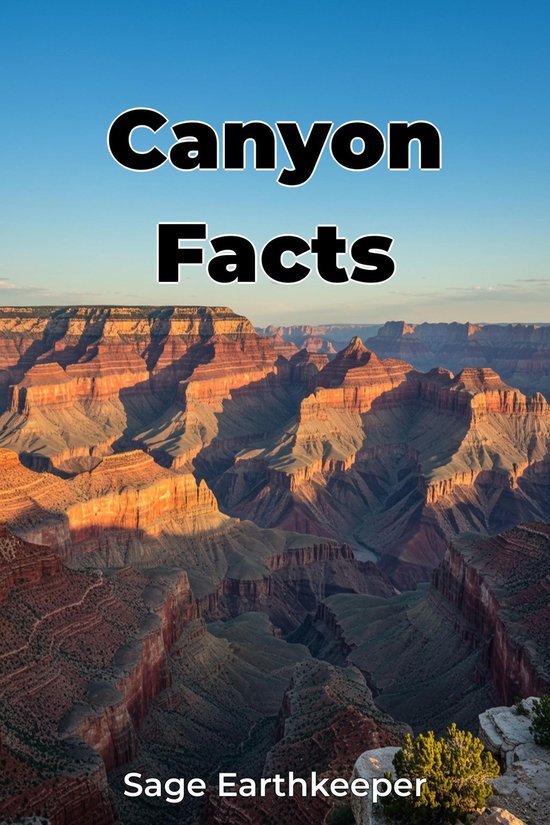 Canyon Facts (ebook), Sage Earthkeeper | 9788233969875 | Boeken | bol