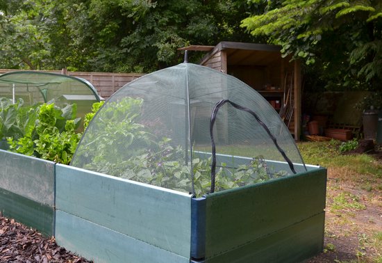 GardenSkill Net Kweektunnel Plantentunnel 120x80cm | Pop-up Kas in ...