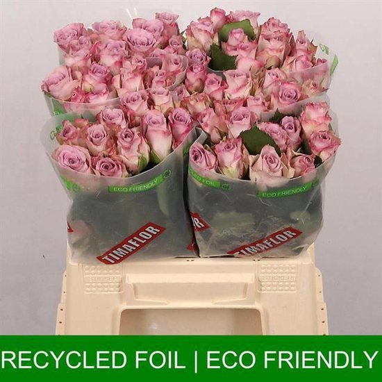 20x Rosa memory lane! 40cm | bol