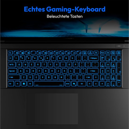 ERAZER Scout E30i - gaming laptop - 17.3 inch - Intel Core i5 - RTX ...