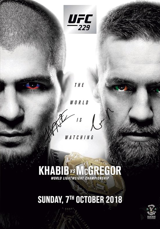 Khabib VS Mcgregor UFC 229 Event Poster Framed | bol