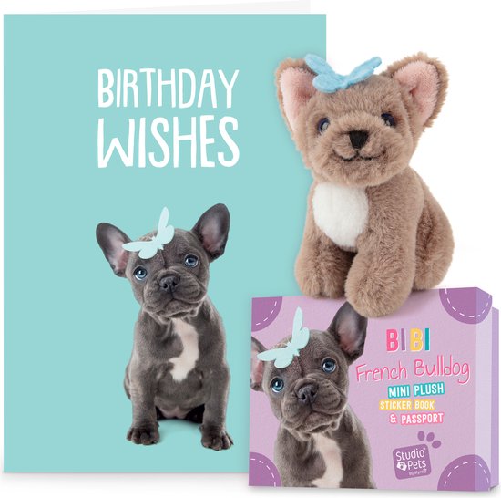 Studio Pets Set van Mini Knuffel Franse Bulldog Hond BiBi (8cm) en ...