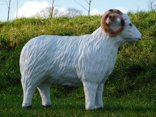 Schaap met Hoorns - 85 cm - Polystone | bol