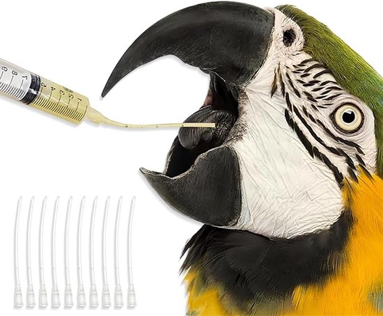 10 Bird Feeding Probes Including 1 Syringe of 10 ml Baby Bird for ...