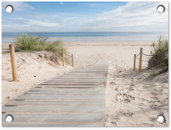 Tuinposter 40x30 cm - Tuindecoratie Strand - Pad - Duinen - Zee - Zomer - Poster voor... | bol