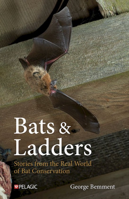 Bats & Ladders | 9781784275815 | George Bemment | Boeken | bol