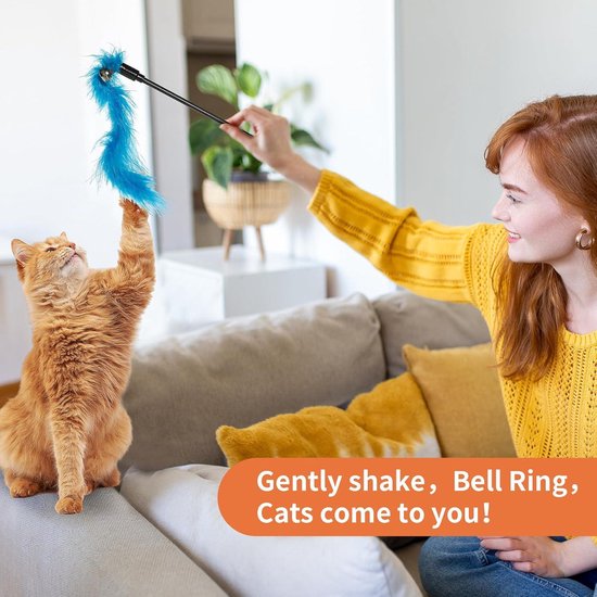 16-delige Kattenhengel Set - Uitschuifbare Hengels - Speeltjes met ...