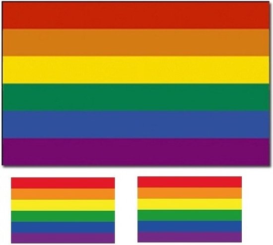 LHBT / Gay regenboog vlag 90 x 150 cm - Inclusief twee gratis regenboog ...