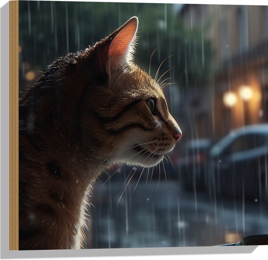 Hout - Poes - Regen - Nat - Dier - 50x50 cm - 9 mm dik - Foto op Hout ...