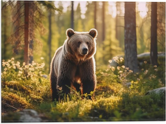 Vlag - Bos - Beer - Dier - Bloemen - 40x30 cm Foto op Polyester Vlag | bol