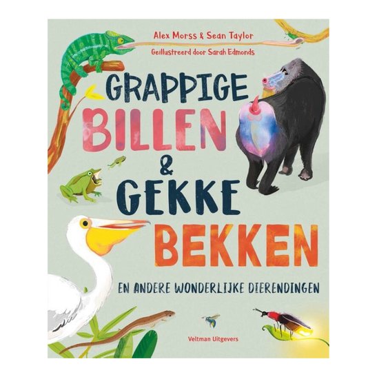 Grappige billen & gekke bekken, Alex Morss | 9789048319800 | Boeken | bol