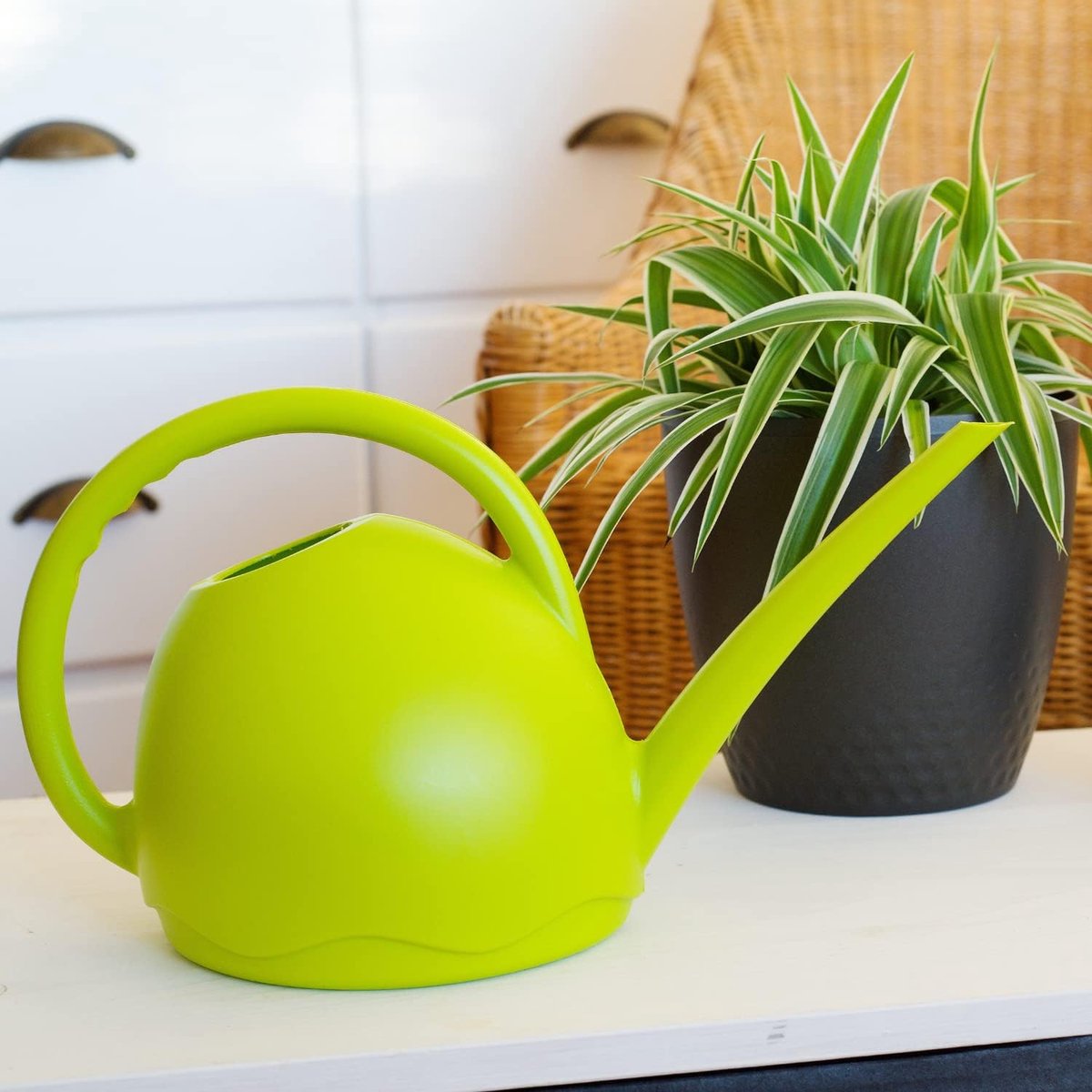 Gieter, klein voor kamerplanten, 1,8 liter, gieter Medusa met lange ...