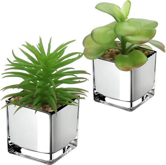 Vetplant Kunstplant Decoratieve Plant in Glazen Pot Decoratieve Mini ...