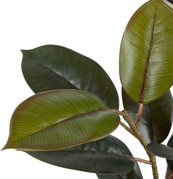 Decoratieve plant PVC Ijzer Vijgen 49 x 45 x 125 cm | bol