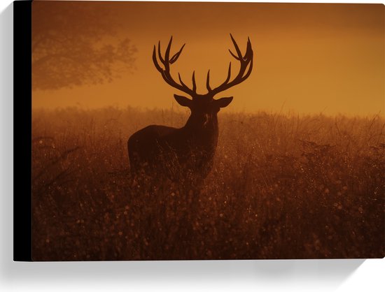 Canvas - Hert met groot gewei staat in grasveld met een oranje rode ...