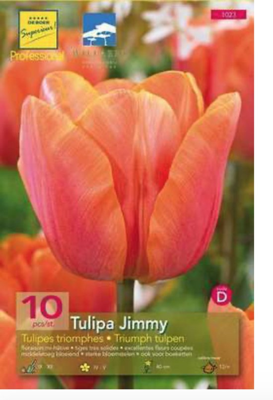 Tulipa triumph 'Jimmy' | bol