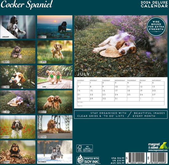 Engelse Cocker Spaniel Kalender 2024 Deluxe | bol.com
