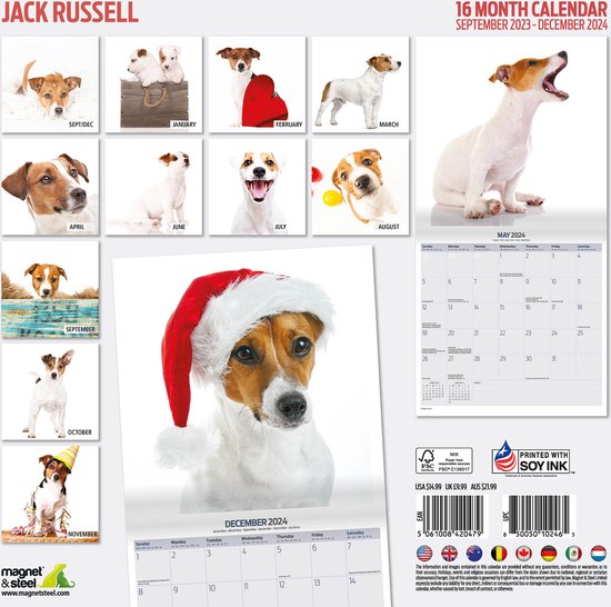 Jack Russell Terrier Kalender 2024 Modern | bol