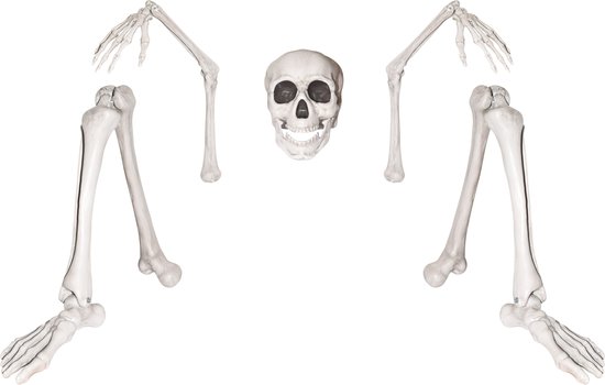 Lifesize Groundbreaking Skeleton - Halloween Decoratie | bol