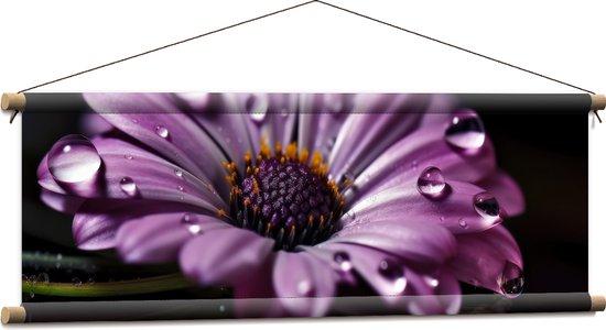 Textielposter - Paarse Margriet met Waterdruppels erop bij Donkere Achtergrond -... | bol