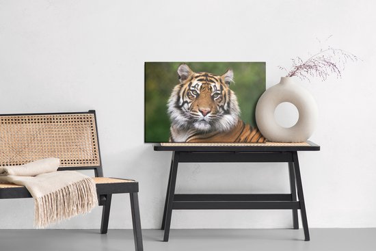 Schilderijkoning - Canvas Schilderij Portret Van Een Bengaalse Tijger ...