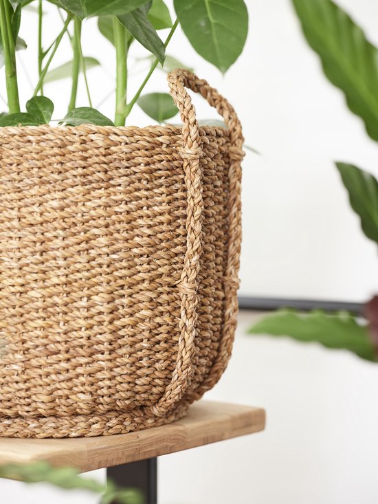 Ter Steege Plantenmand Zeegras Naturel-Beige D 17 cm H 17 cm ...