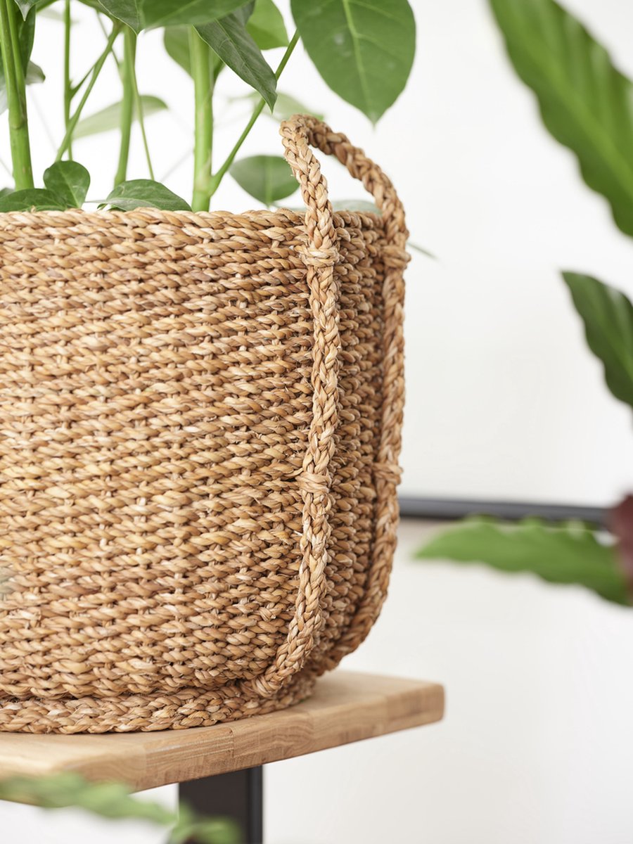 Ter Steege Plantenmand Zeegras Naturel-Beige D 17 cm H 17 cm ...