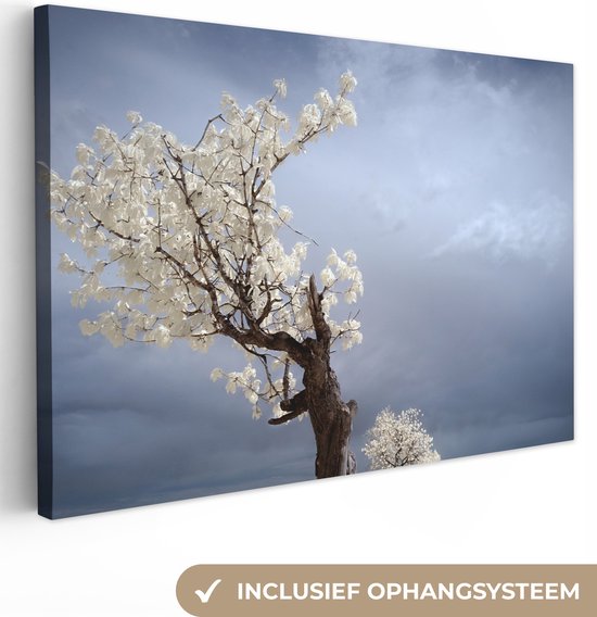 Canvas schilderij - Boom - Gras - Bloesem - Bloemen - Wit - Foto op canvas -... | bol