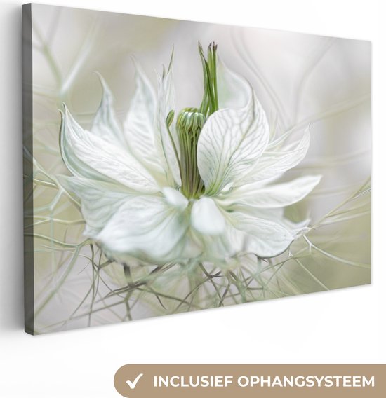 Canvas doek - Foto op canvas - Bloem - Wit - Groen - Plant - Natuur ...