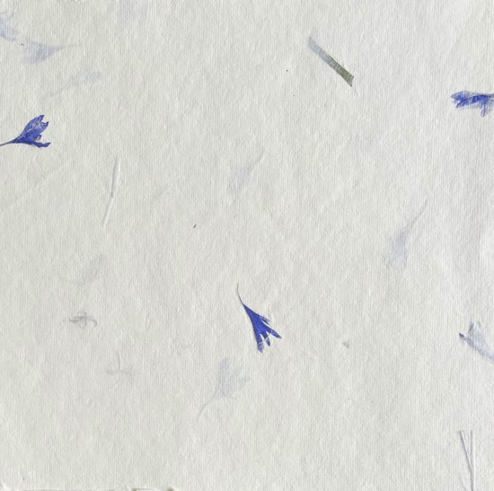 Set van 25 vel Tree Free ivoorkleurig katoenpapier A4 met ...