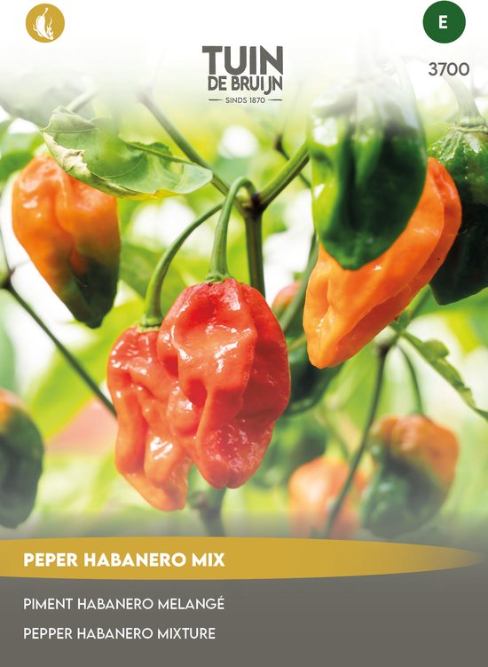 Tuin de Bruijn® zaden - Peper Habanero mix - behoort tot de allereerste ...