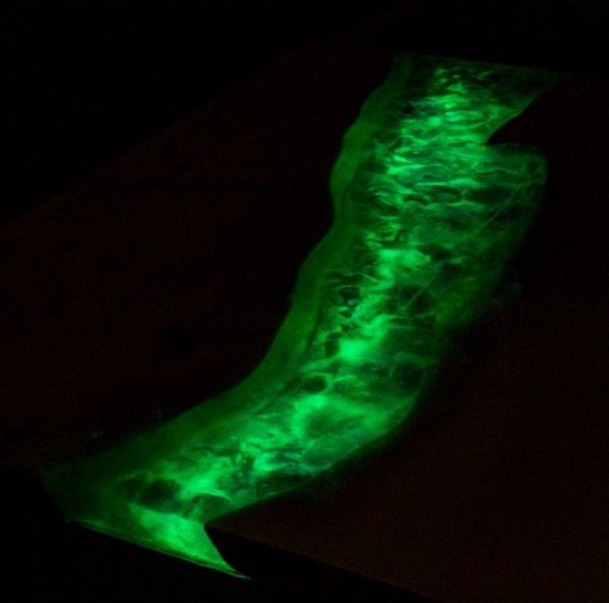 Glow in the dark poeder - 50 gram - Groen/Geel - Mengbasis verf ...