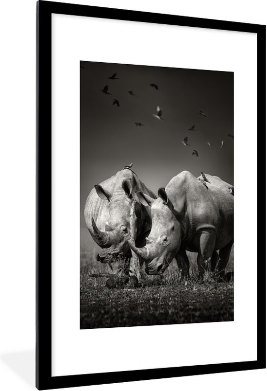 Fotolijst incl. Poster Zwart Wit- Neushoorn - Vogel - Dieren ...