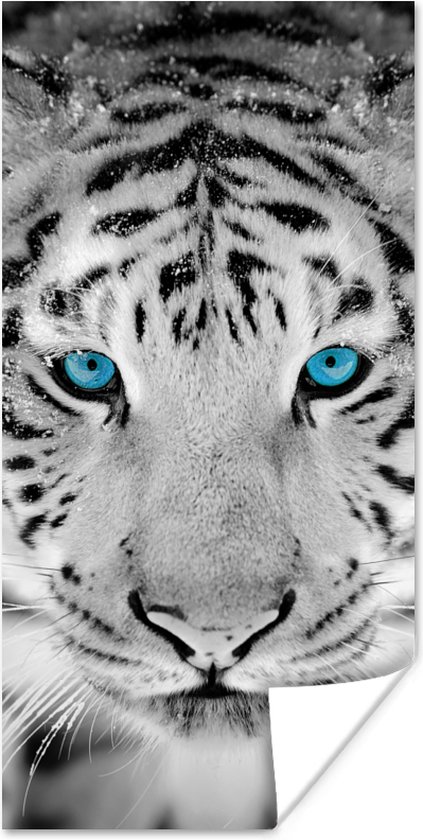Poster Dieren - Tijger - Ogen - Blauw - Zwart wit - 80x160 cm | bol